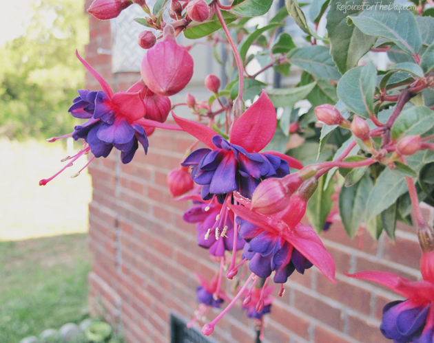 The First Weekend in May – Rejoice for the Day