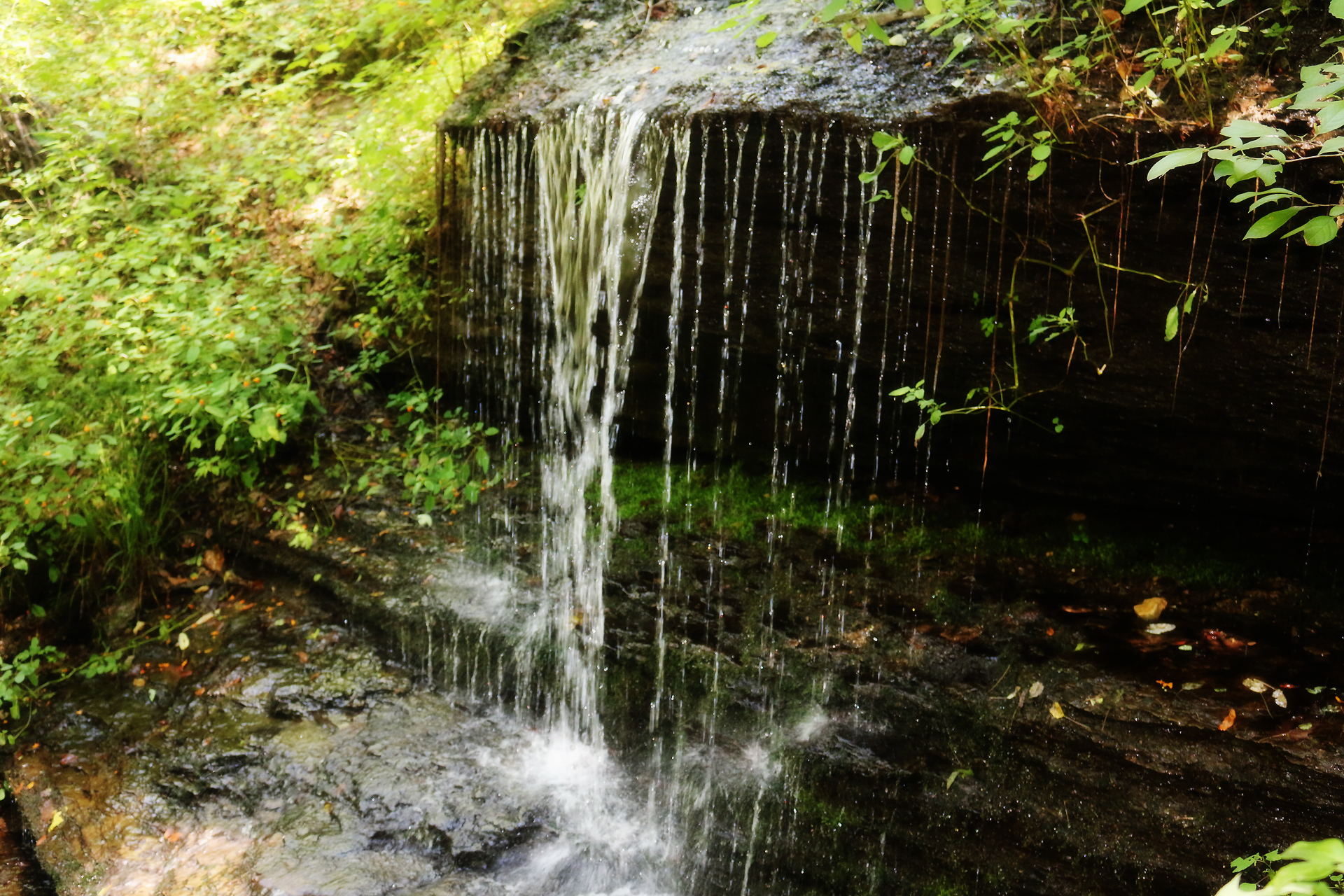 Chasing Waterfalls – Rejoice for the Day