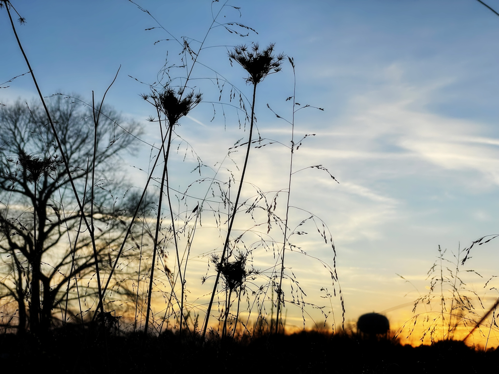 Waiting on Winter – Rejoice for the Day