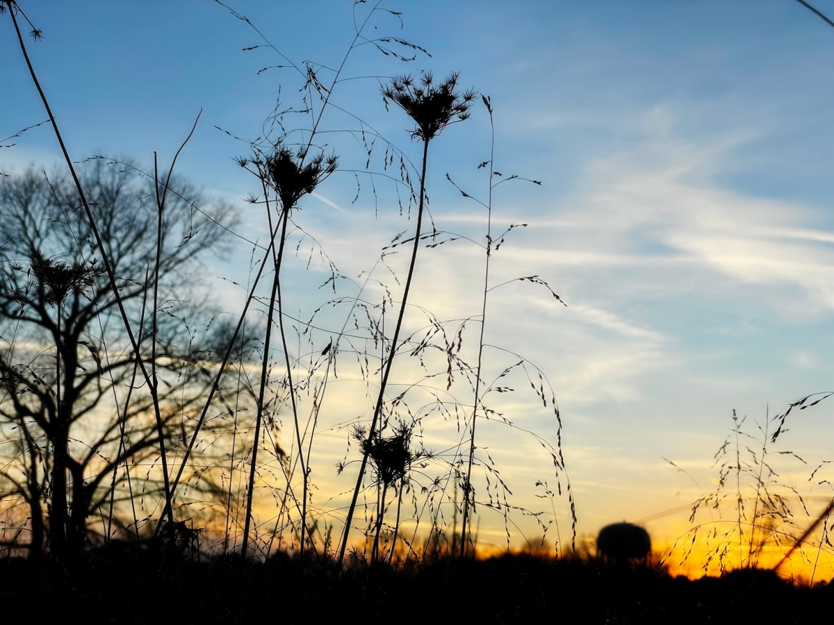 Waiting on Winter – Rejoice for the Day